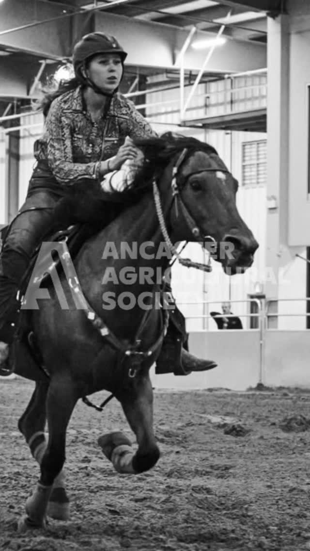 Visit the Fair — Ancaster Agricultural Society