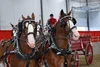 Visit the Fair — Ancaster Agricultural Society
