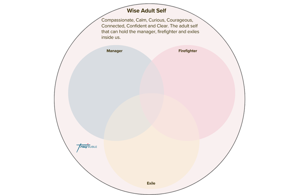 IFS Parts Mapping Guide for Relationships | Step-by-Step Instructions ...