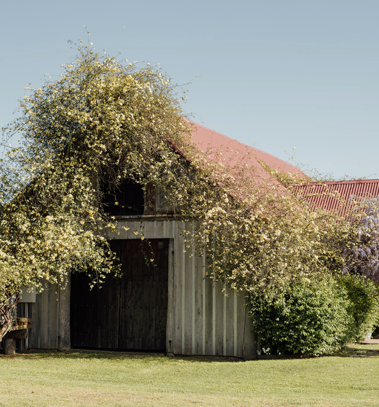 Albion Farm Gardens