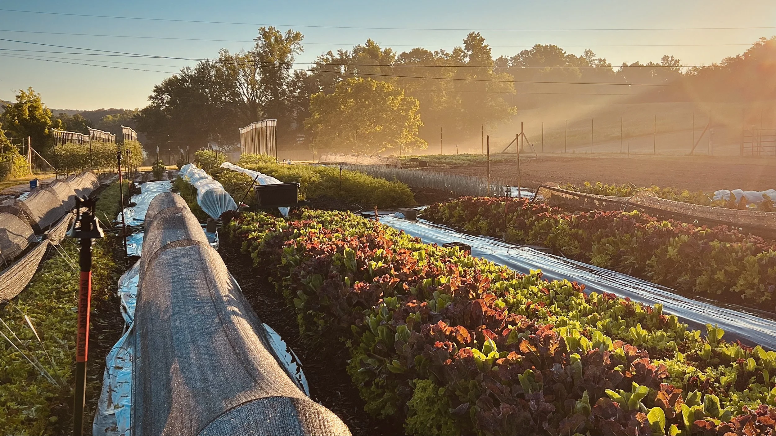 Shady Brook Farms