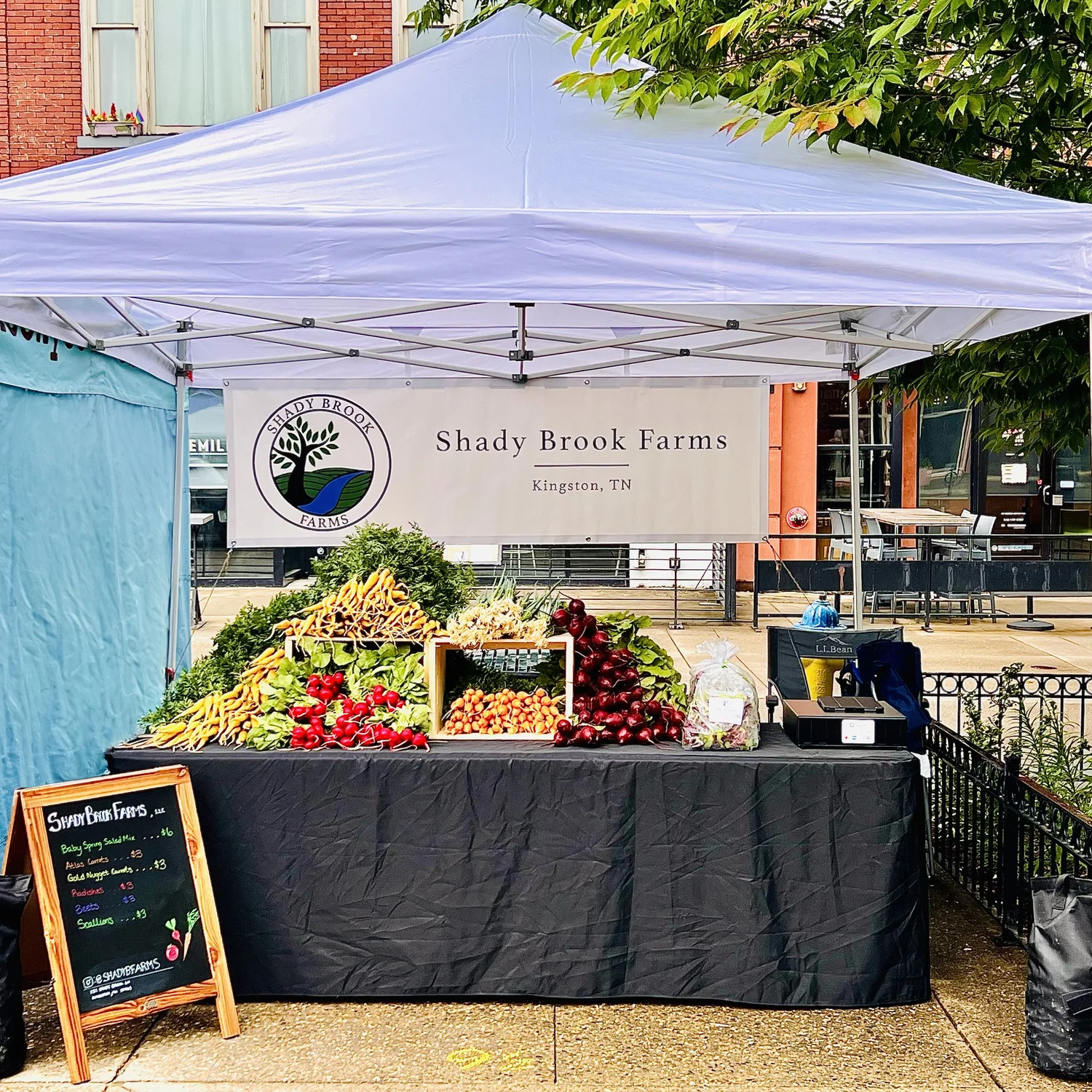 Shady Brook Farms