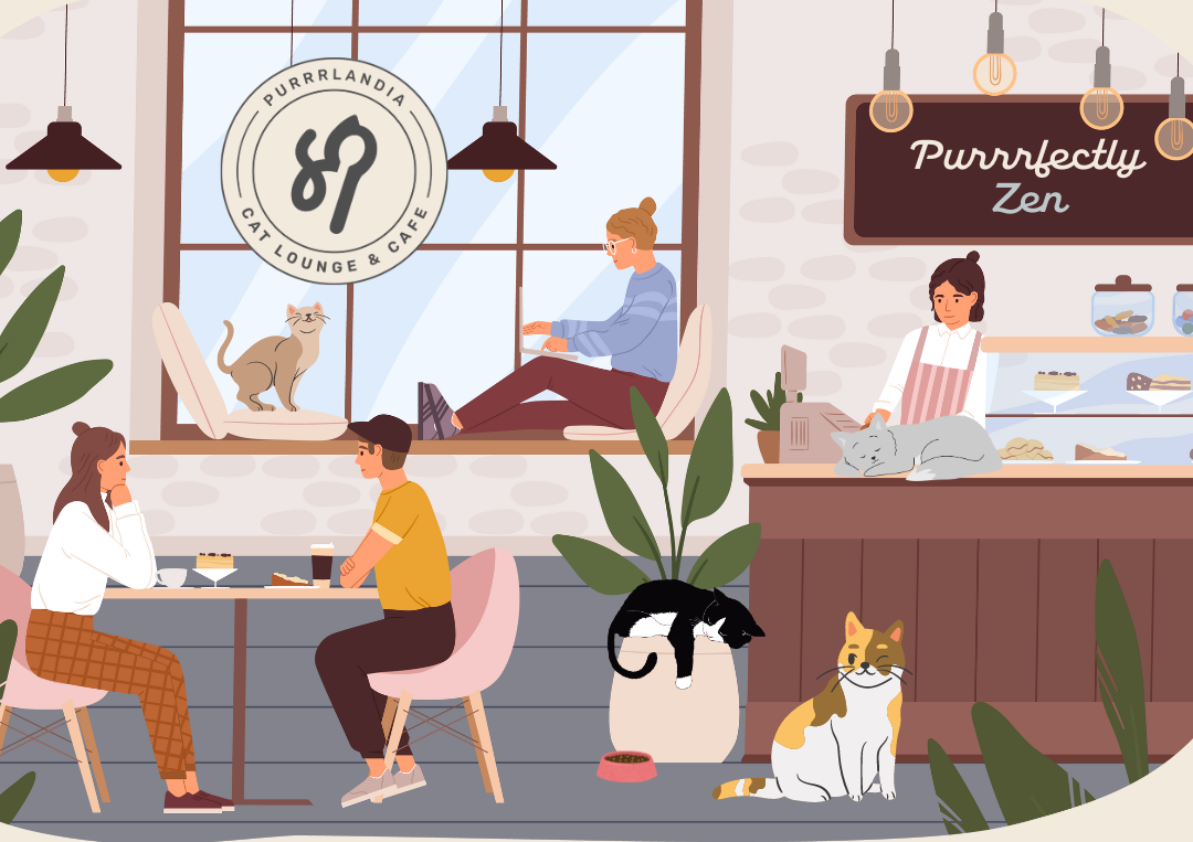 About Cat Cafes | How Cat Cafes Support Rescue & Adoption | Purrrlandia ...