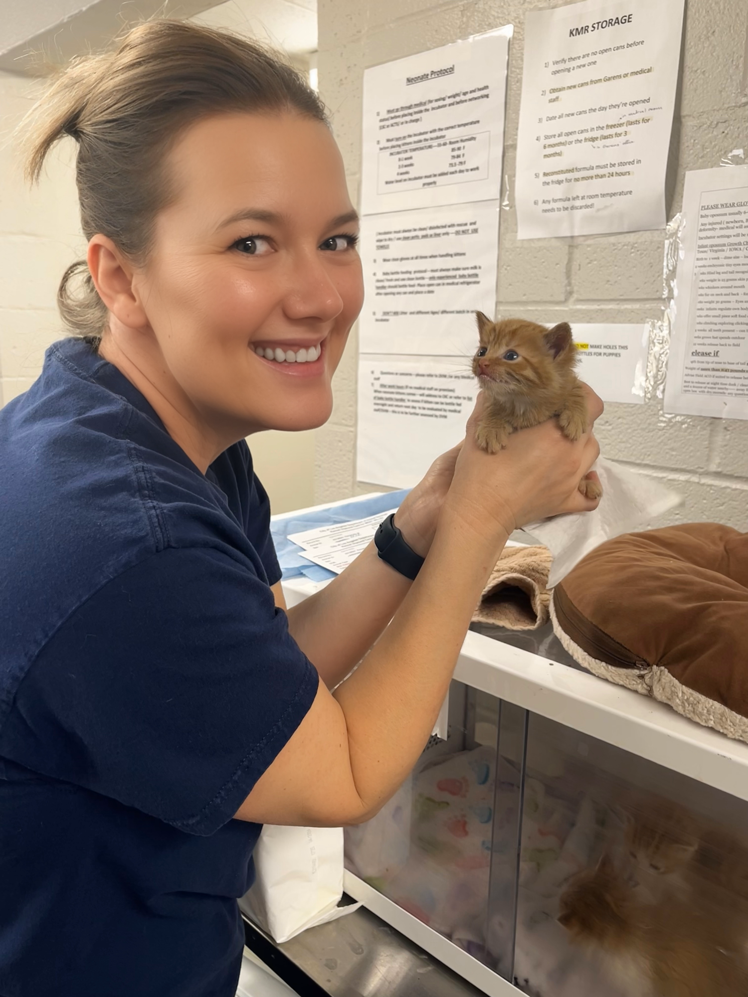 Meet Our Team | Passionate About Rescue & Adoption | Purrrlandia Cat ...