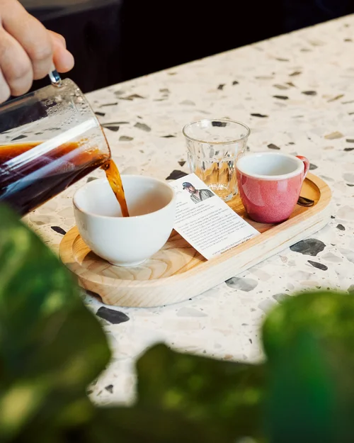 Stemma Craft Coffee: Family-Owned Specialty Coffee Shop & Roastery in ...