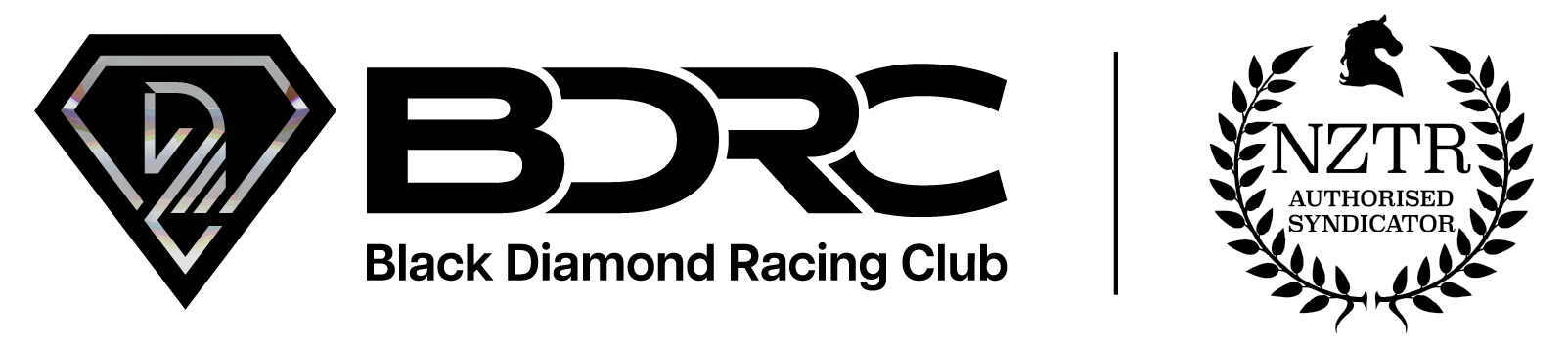 Available Horses — Black Diamond Racing Club