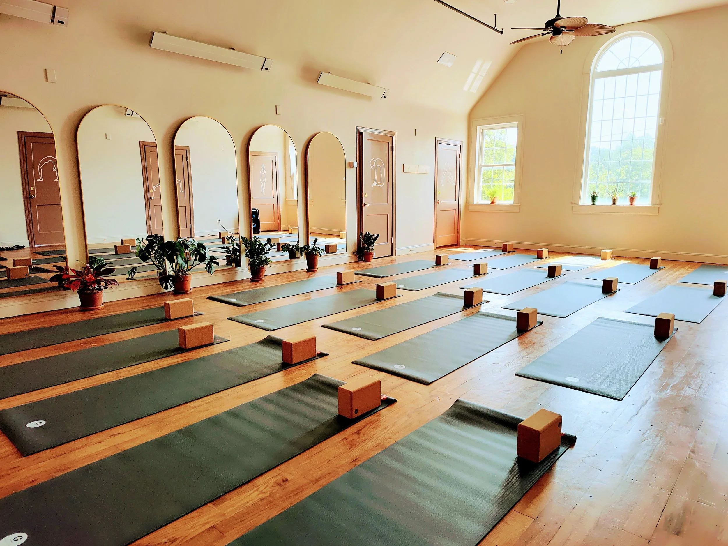 Evolve Yoga Knoxville