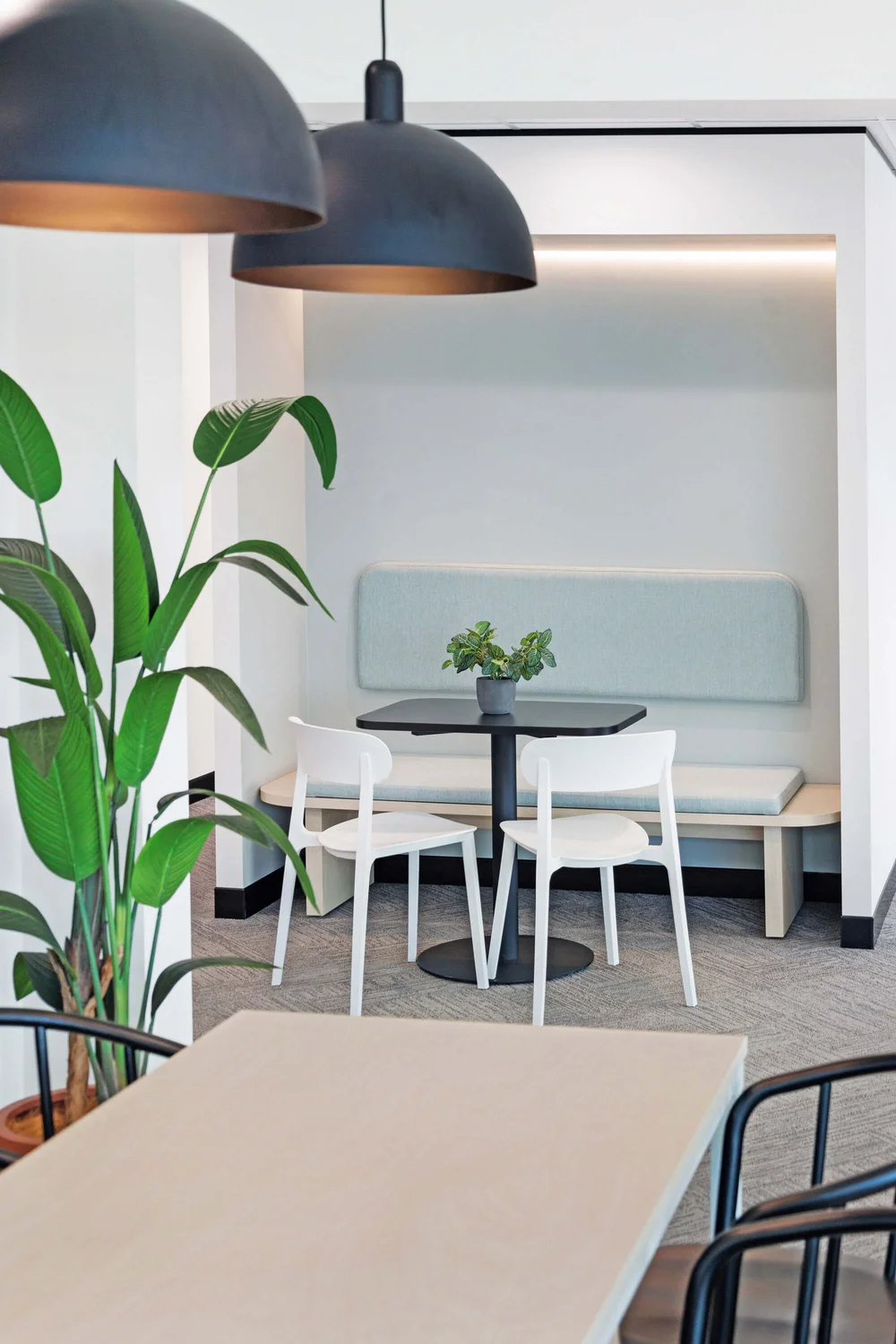 Speculative Office Design — Sofia Design Interiors | Commercial Office ...
