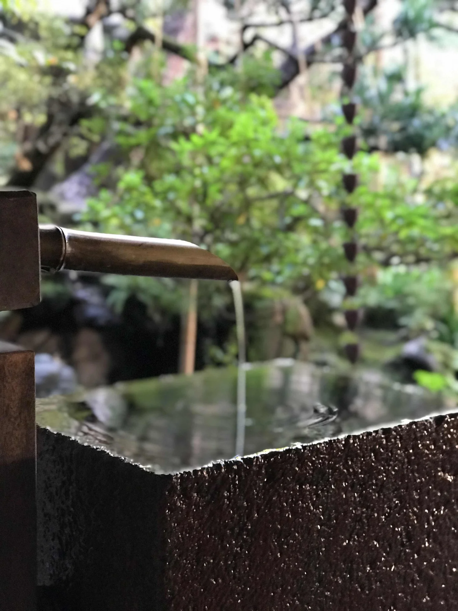 Wabi Sabi Gin | Premium Japanese Gin with a Unique Philosophy