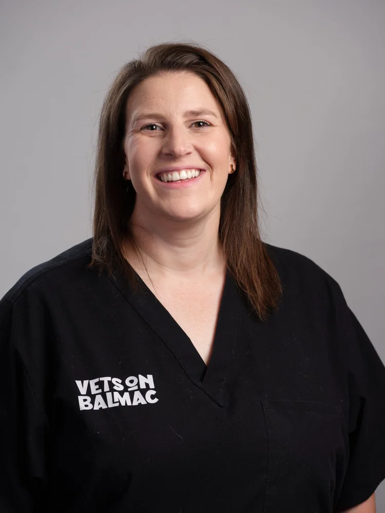 Team — Vets on Balmac