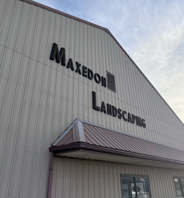 About — Maxedon Inc