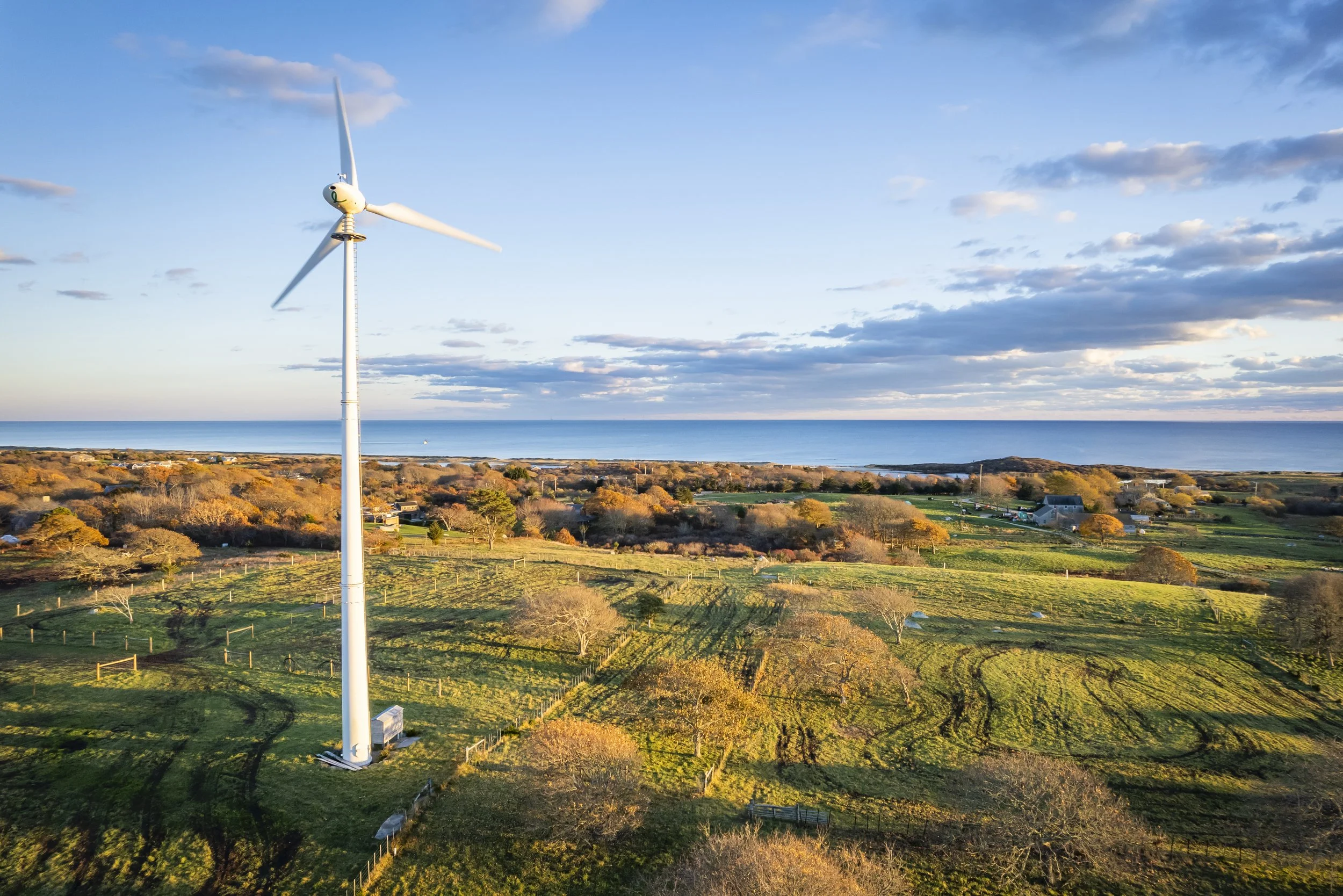 History of Allen Farm — Allen Farm Sheep & Wool Company Martha's ...