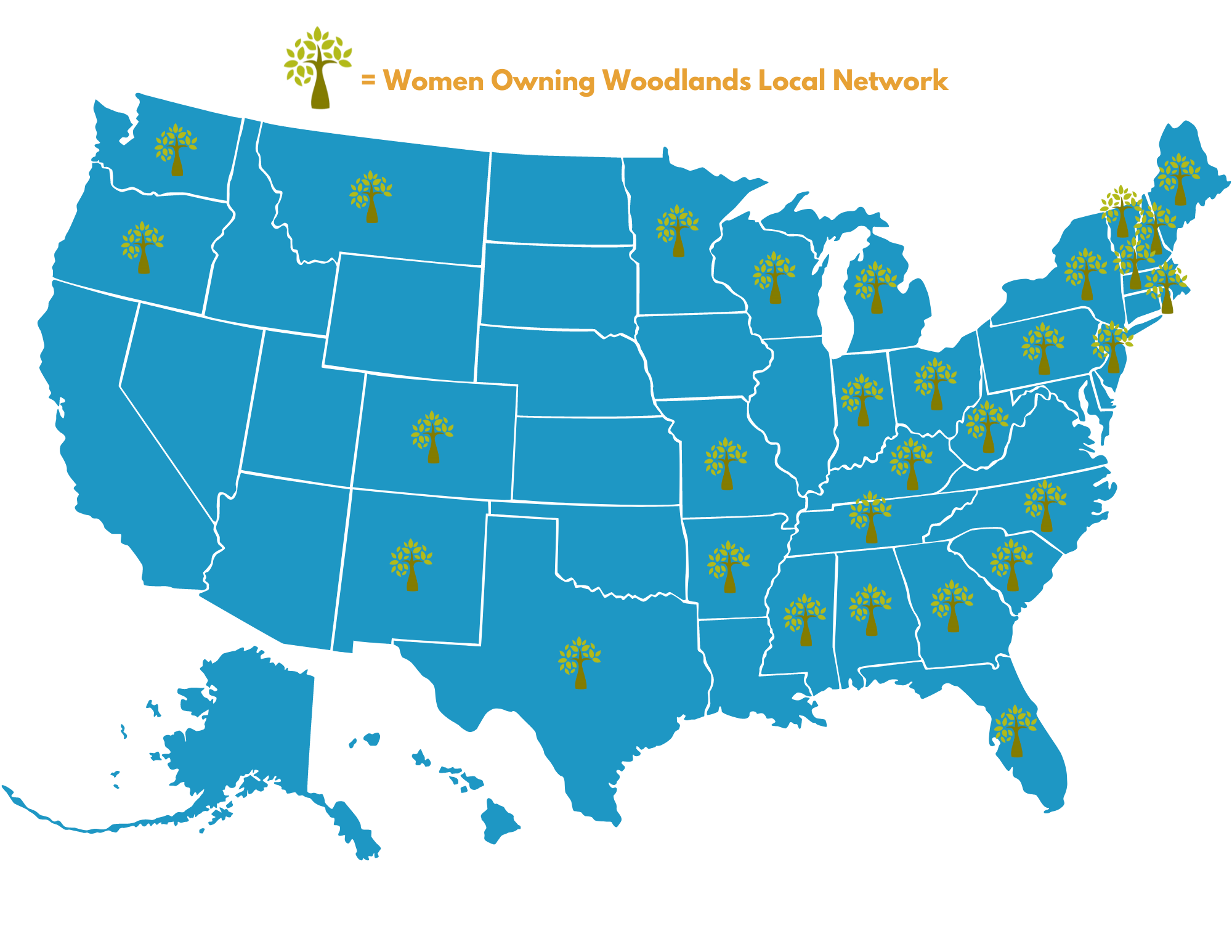 Connect — Women Owning Woodlands Network