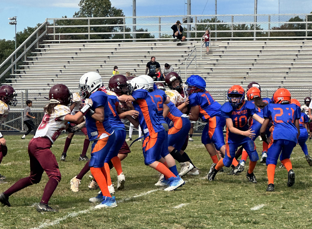 Amherst Wolverines Football — Amherst Wolverines