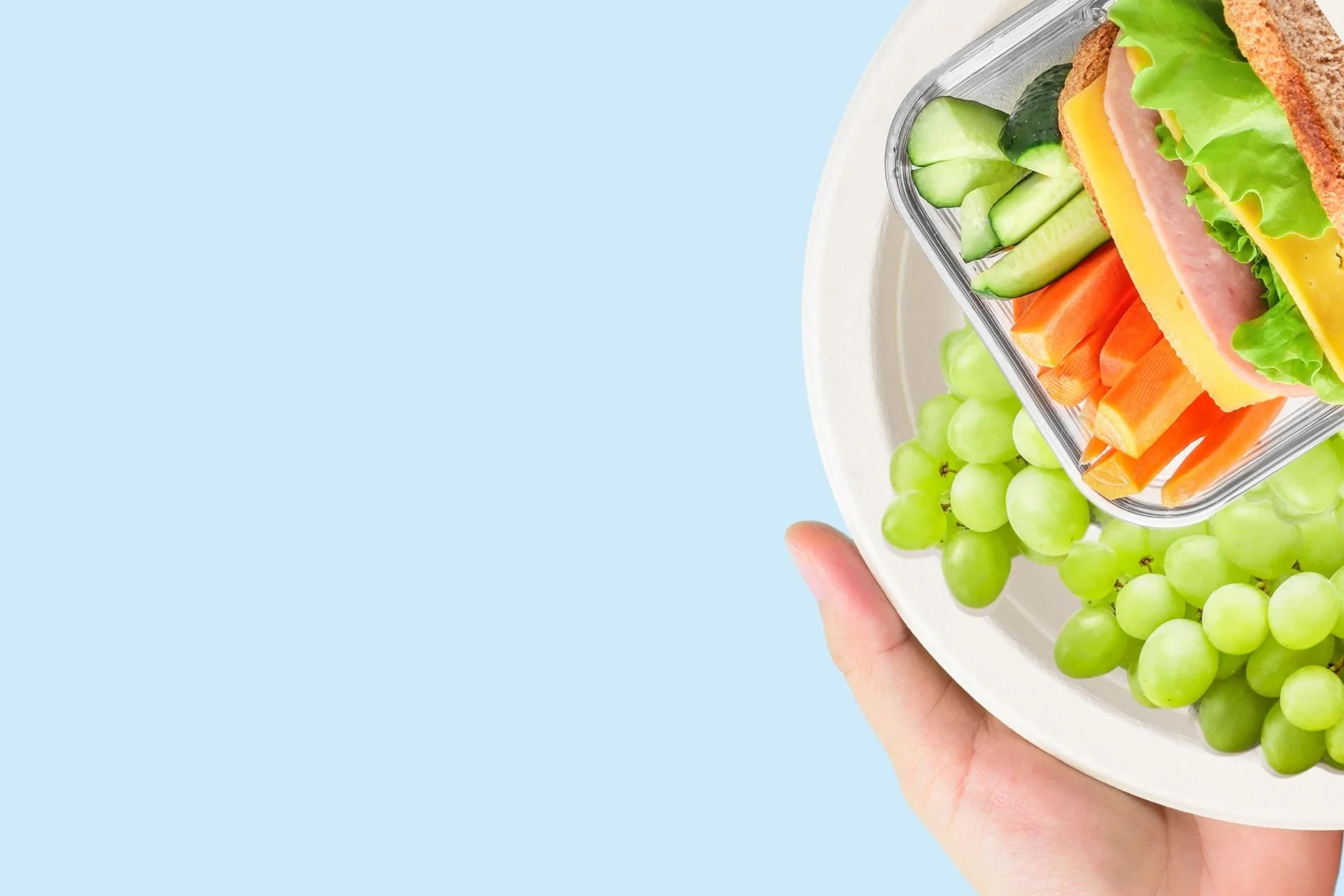 Utah Lunch Debt Relief Foundation