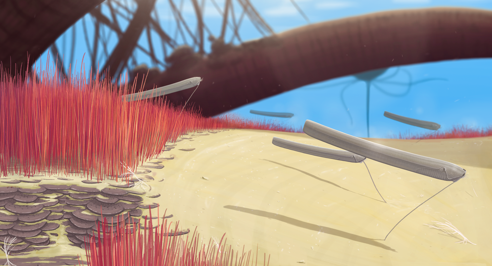 Sand Plains — Oliver_but_digital