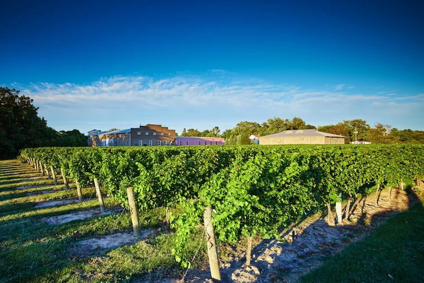 TERROIR RESTAURANT & WINE BAR