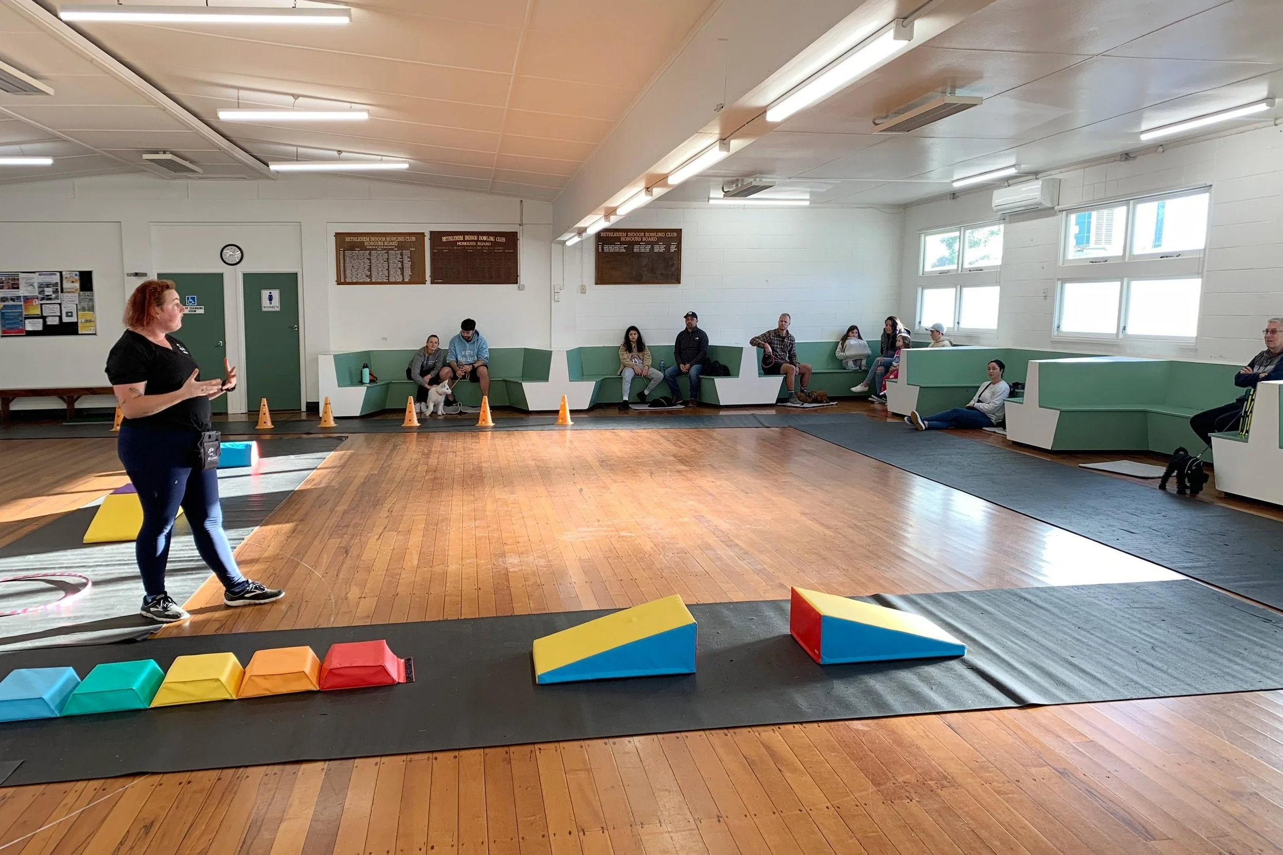 Journey Dog Training NZ