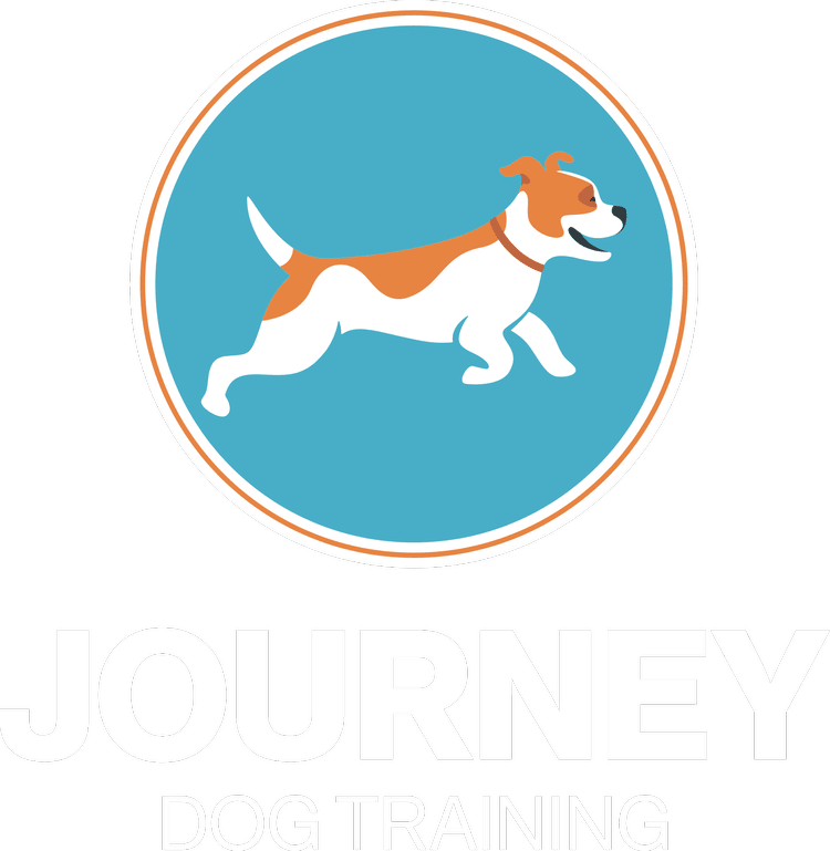 Journey Dog Training NZ