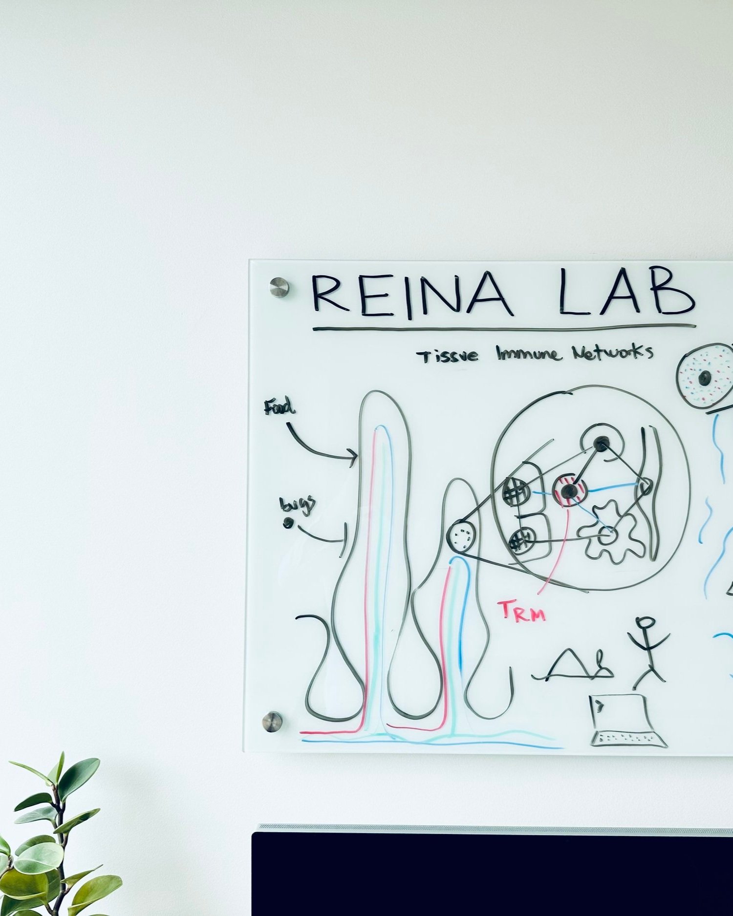 Contact Us — Reina Laboratory
