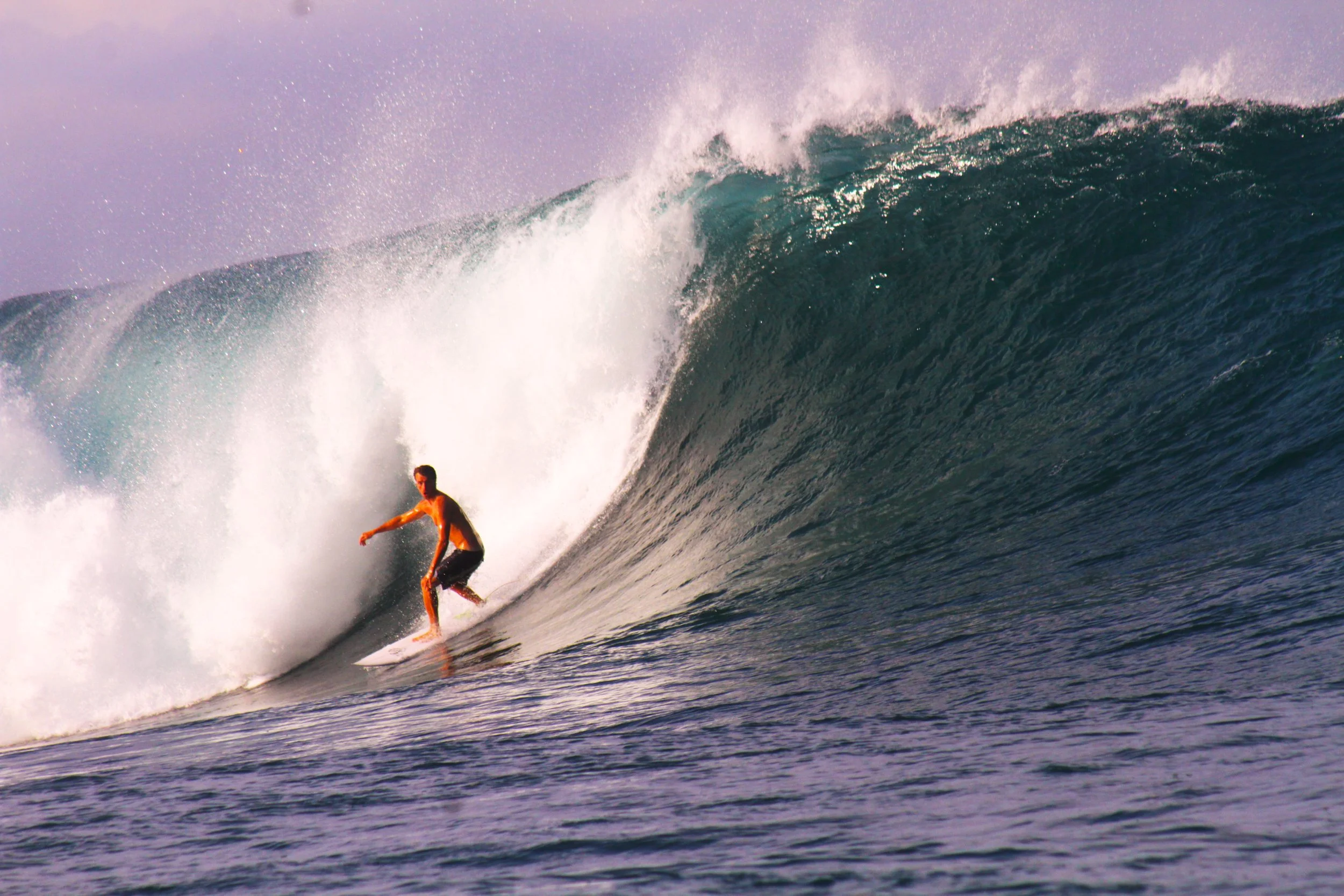 World Surfaris Indonesia
