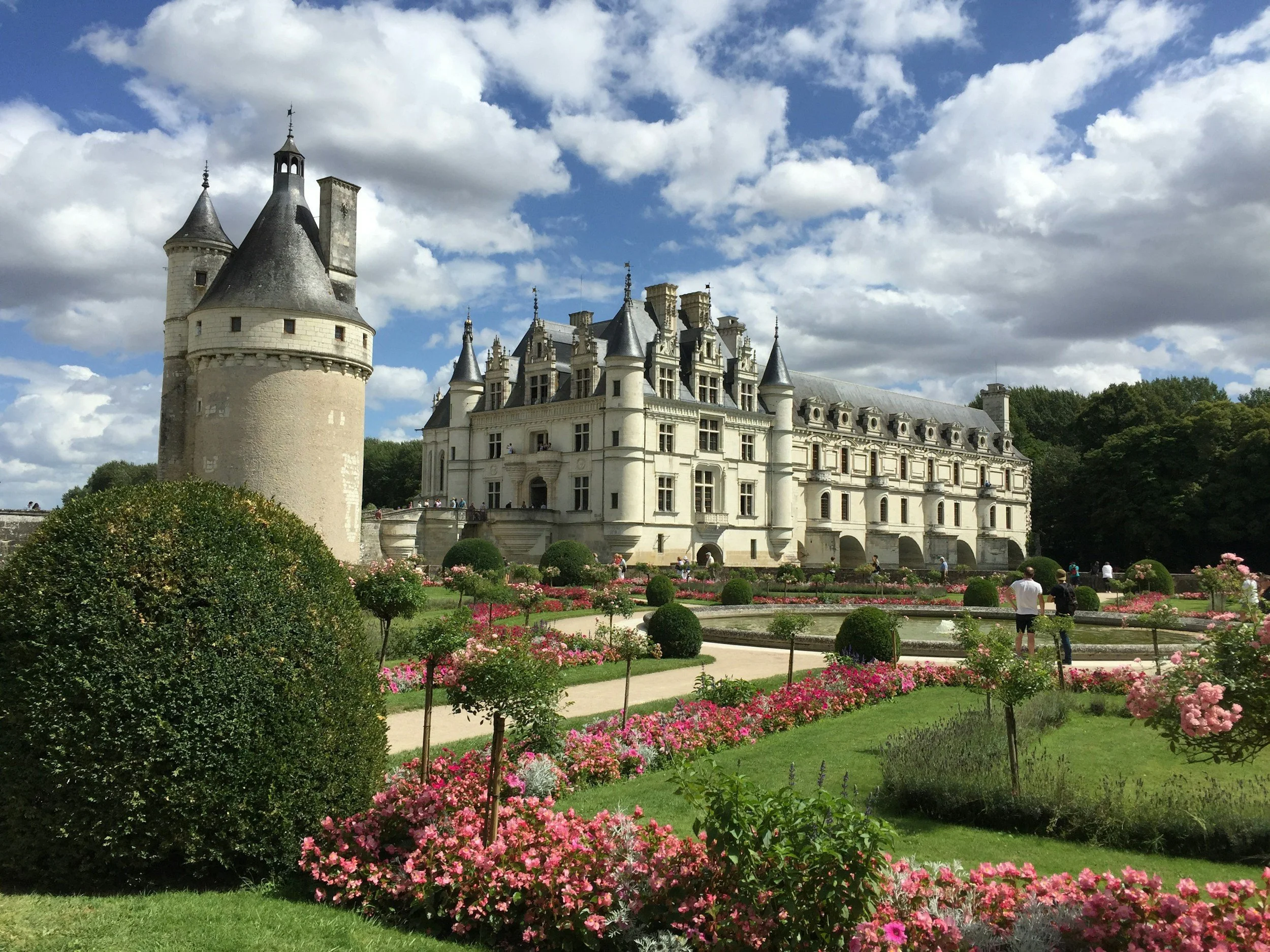 This French Life