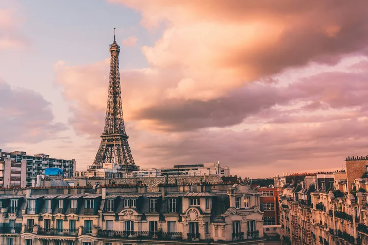 This French Life