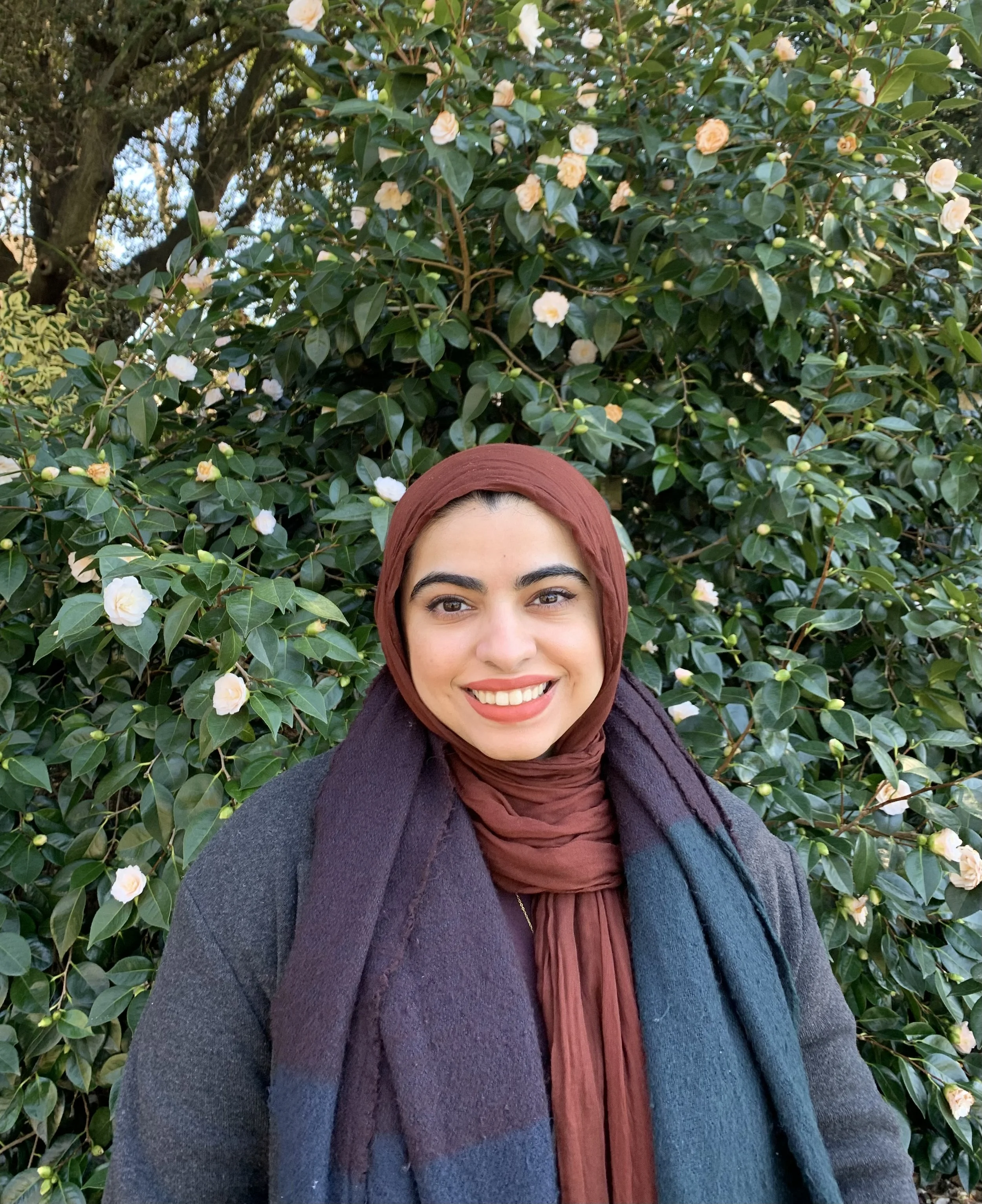 Naseeha Online Therapy — Naseeha Mental Health