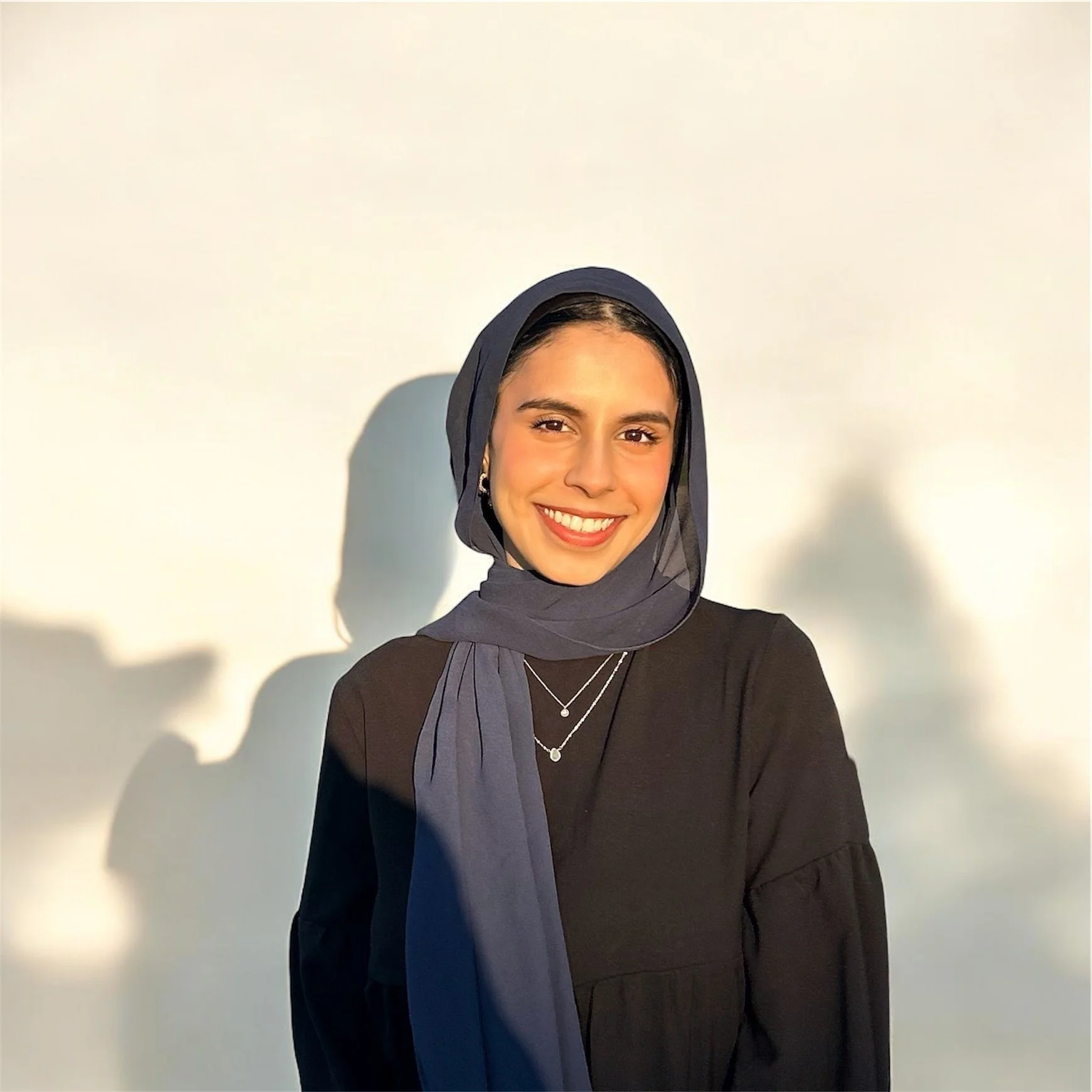 Naseeha Online Therapy — Naseeha Mental Health