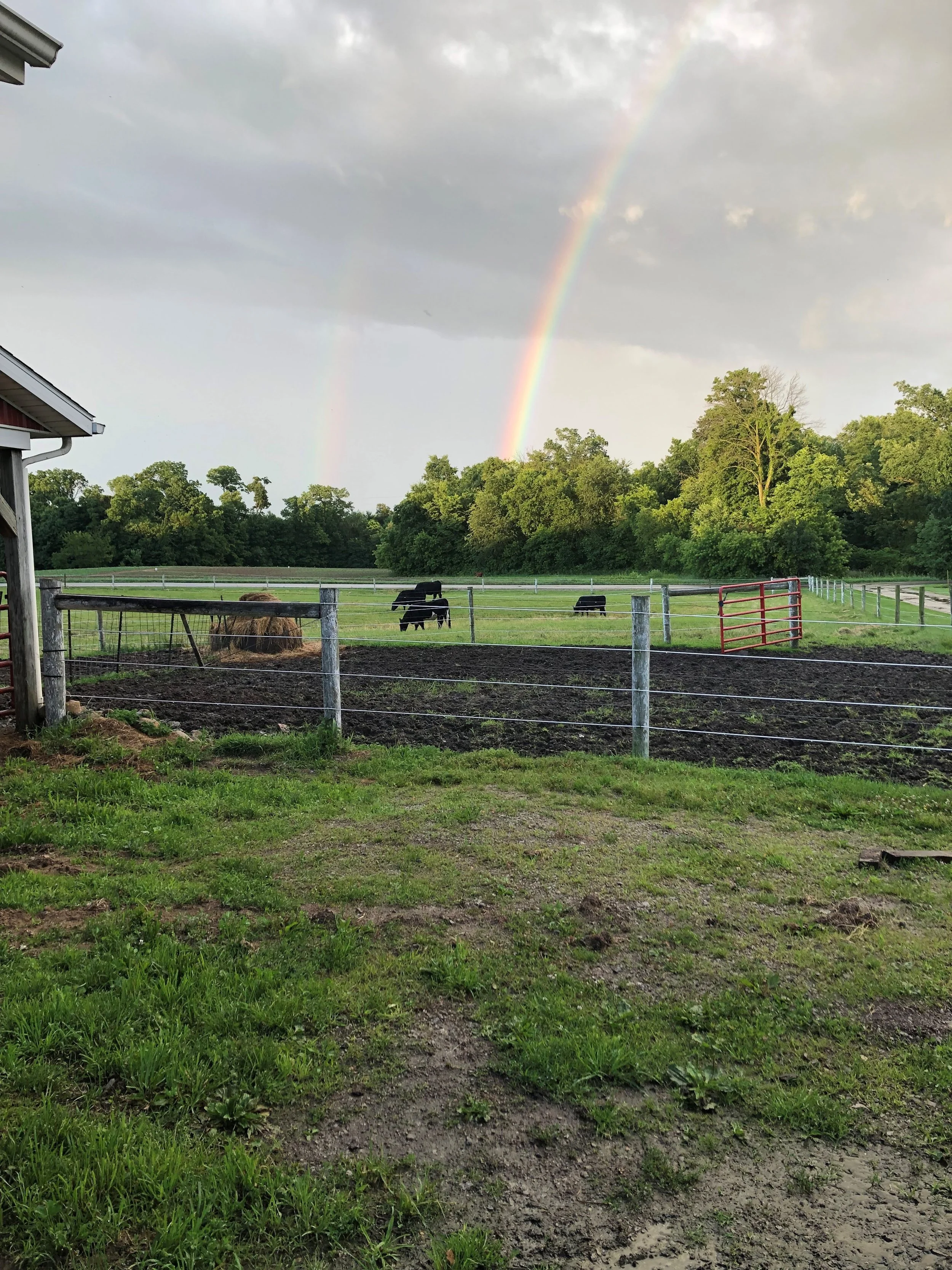About | Nappanee, IN — Stumptown Cattle Company