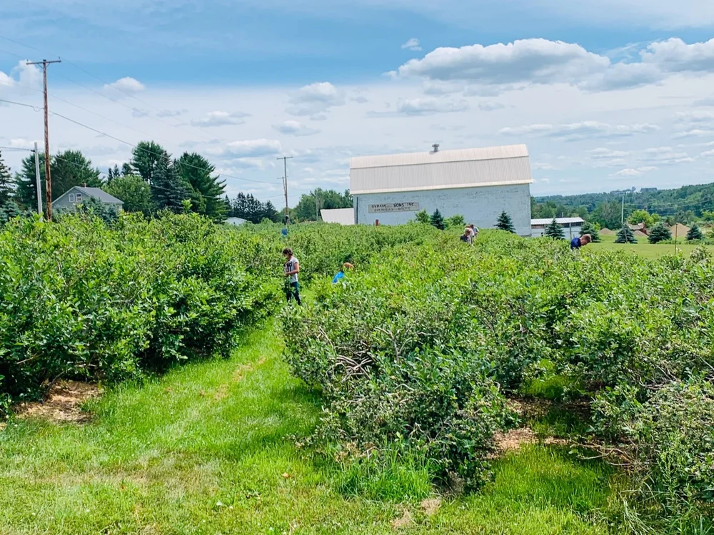 Meet the Heart of Circle B Farms: Our Team, Our Story, Our Future ...
