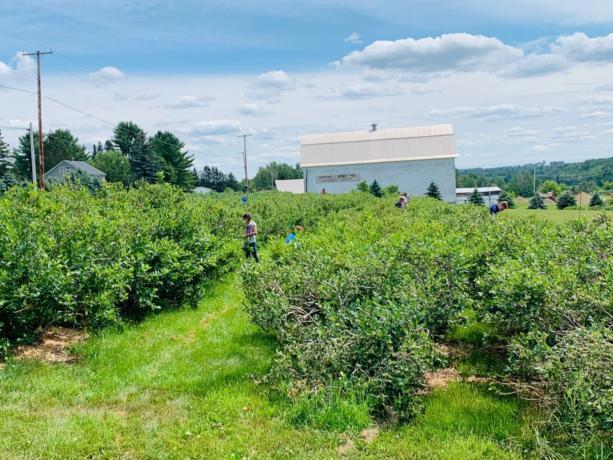 Meet the Heart of Circle B Farms: Our Team, Our Story, Our Future ...