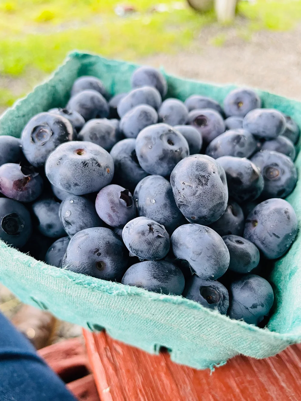 Fresh Maine Fruit & Vegetables | Pick-Your-Own at Circle B Farms