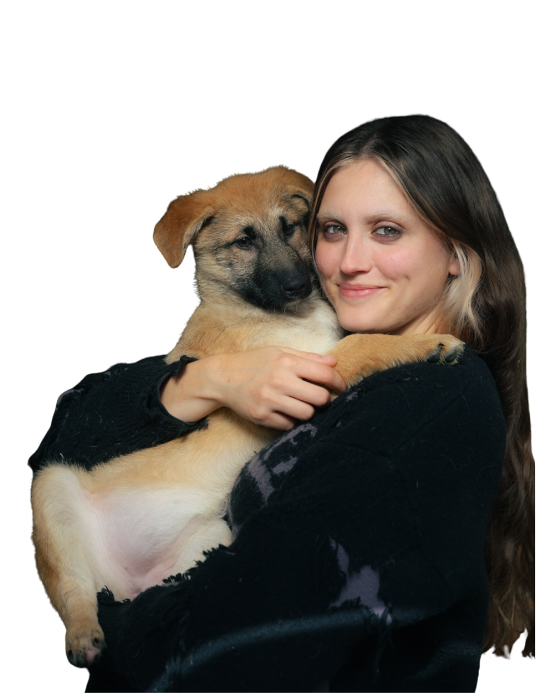 About The Training Hub - Dog Training & Behaviour
