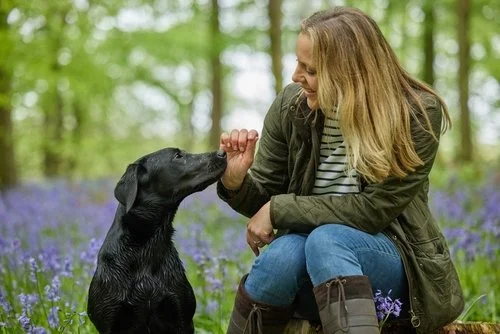 Services 1 - Dog Training & Behaviour