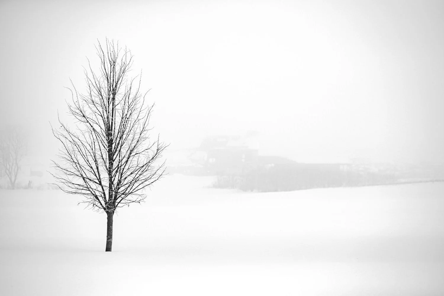 Empty Arms Bereavement Support