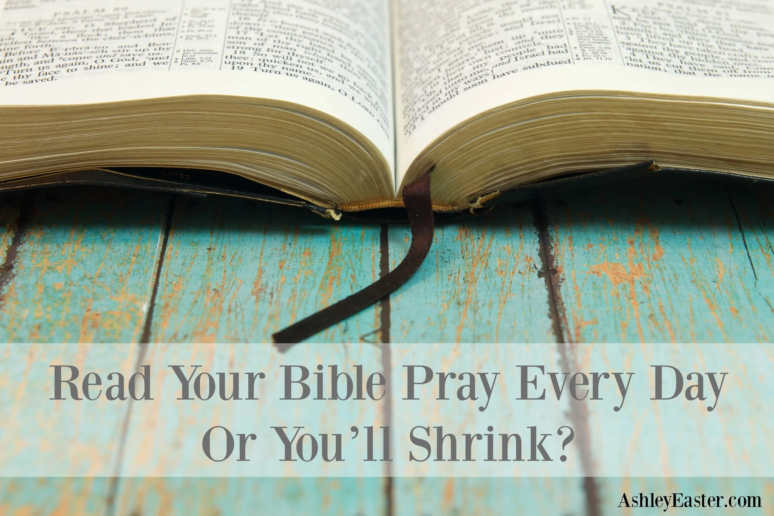 Read Your Bible Pray Every Day Or You’ll Shrink? — Ashley Easter