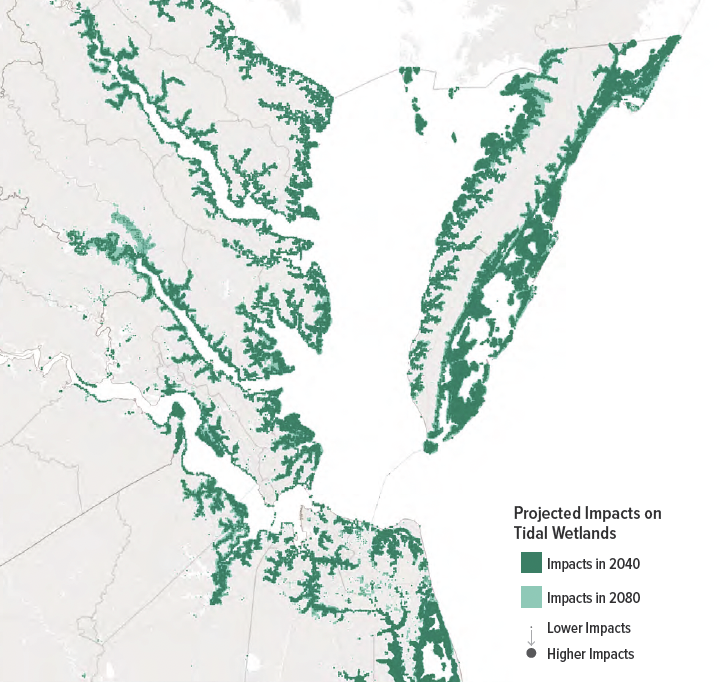 Wetlands-migration — WETLANDS WATCH