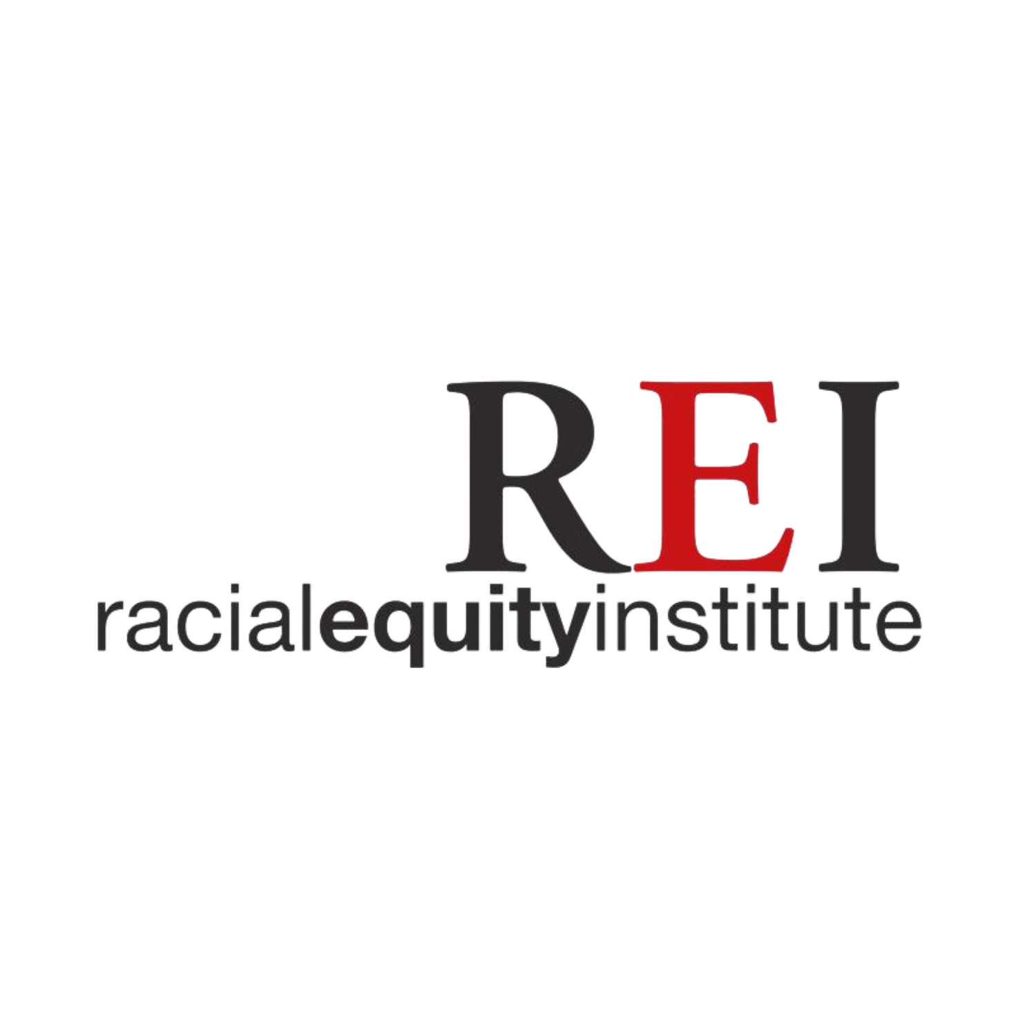 Racial Equity Institute