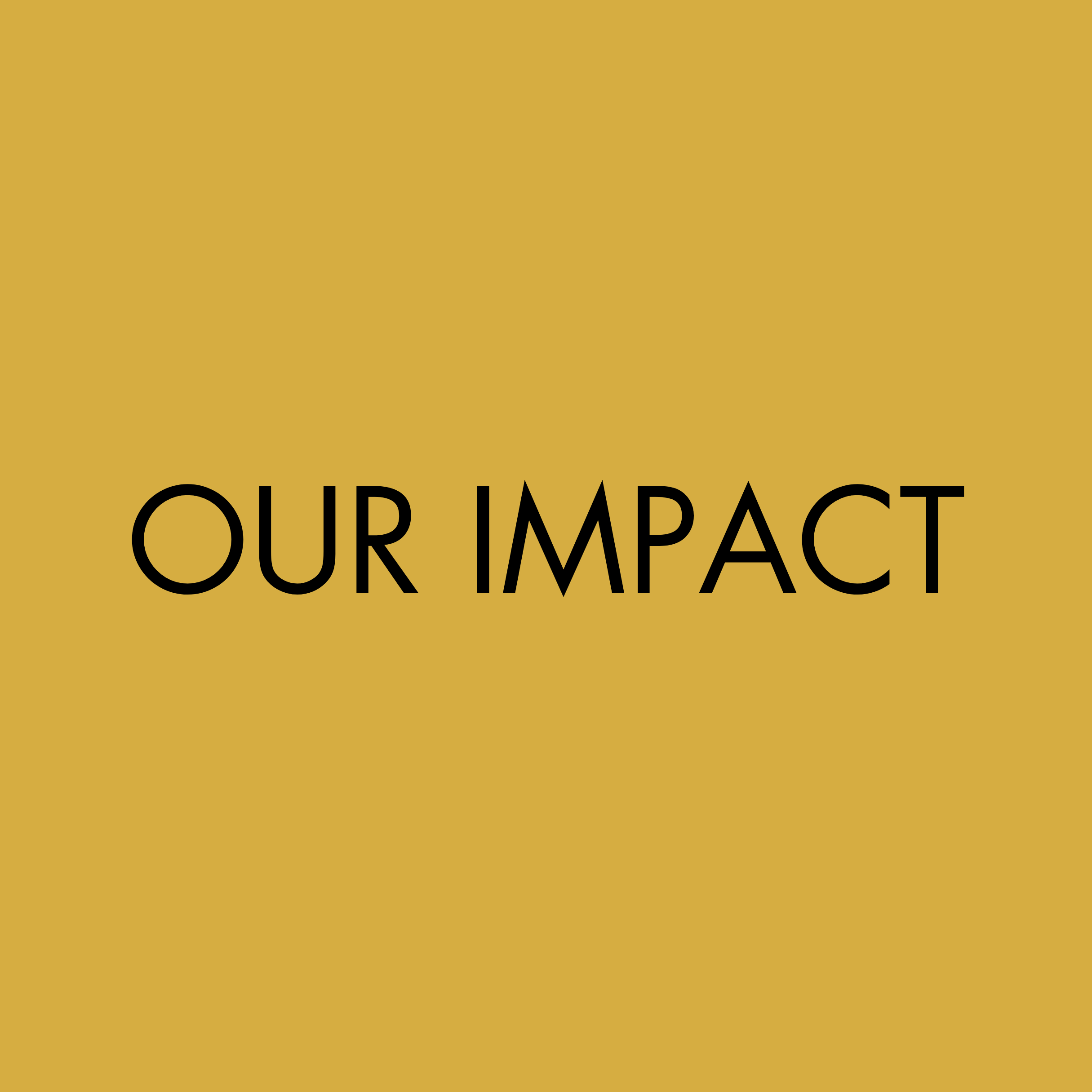 Racial Equity Institute