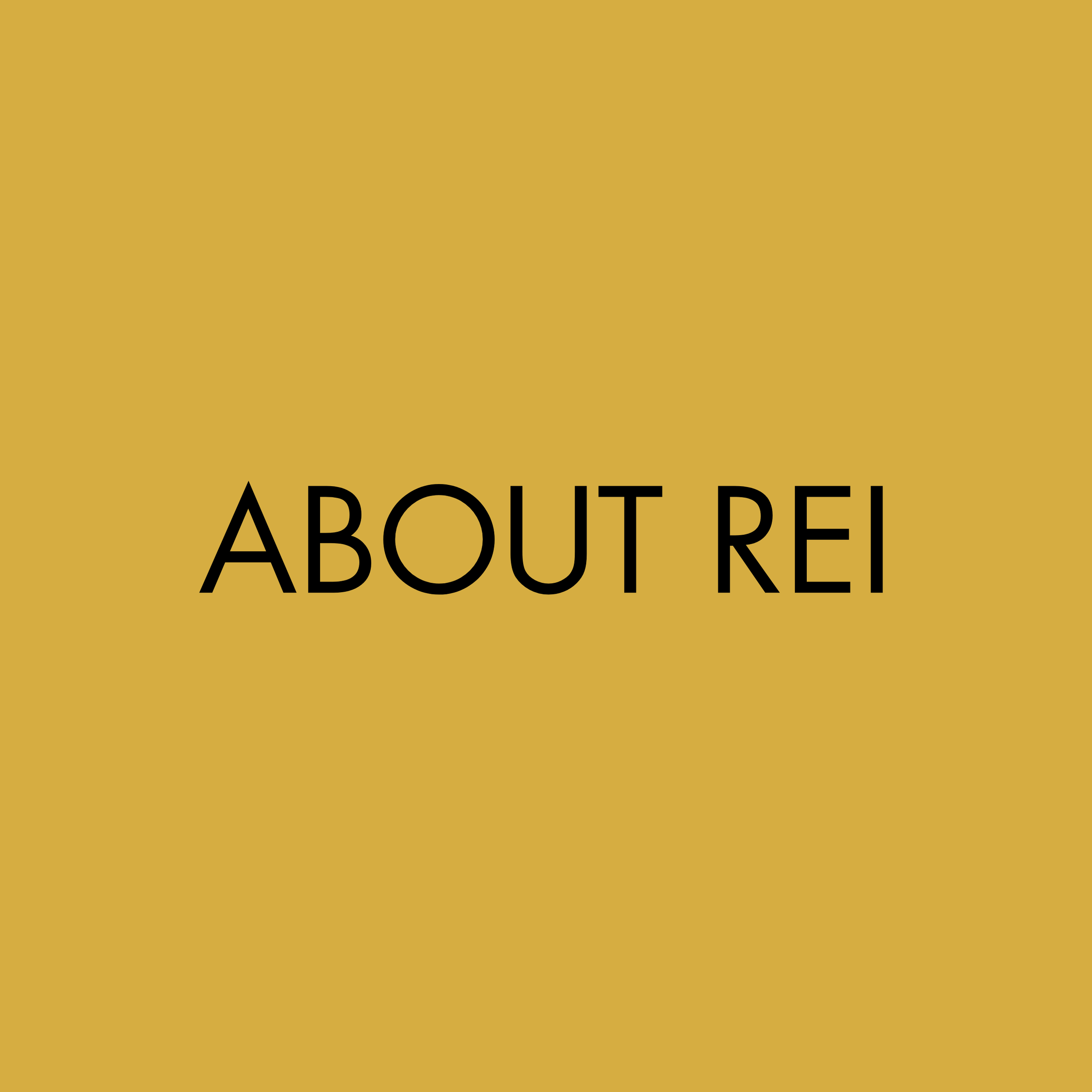 Racial Equity Institute