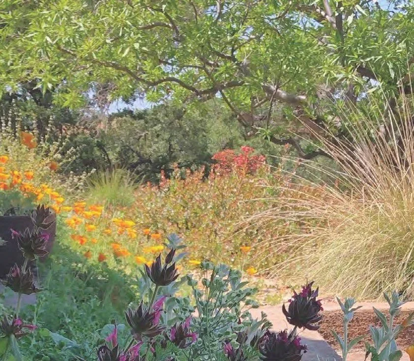 The Circle Corona: City Park