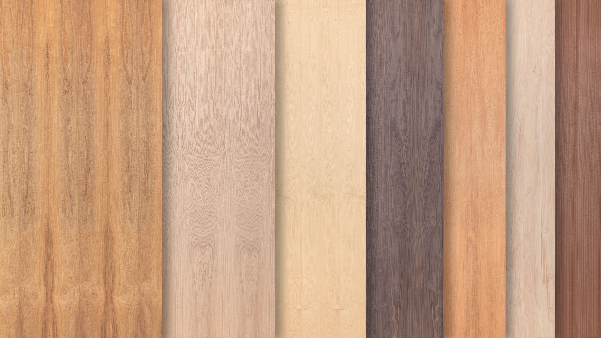 Timber Veneers | Enhance Spaces Today | Browse Timber Veneers — Timberwood