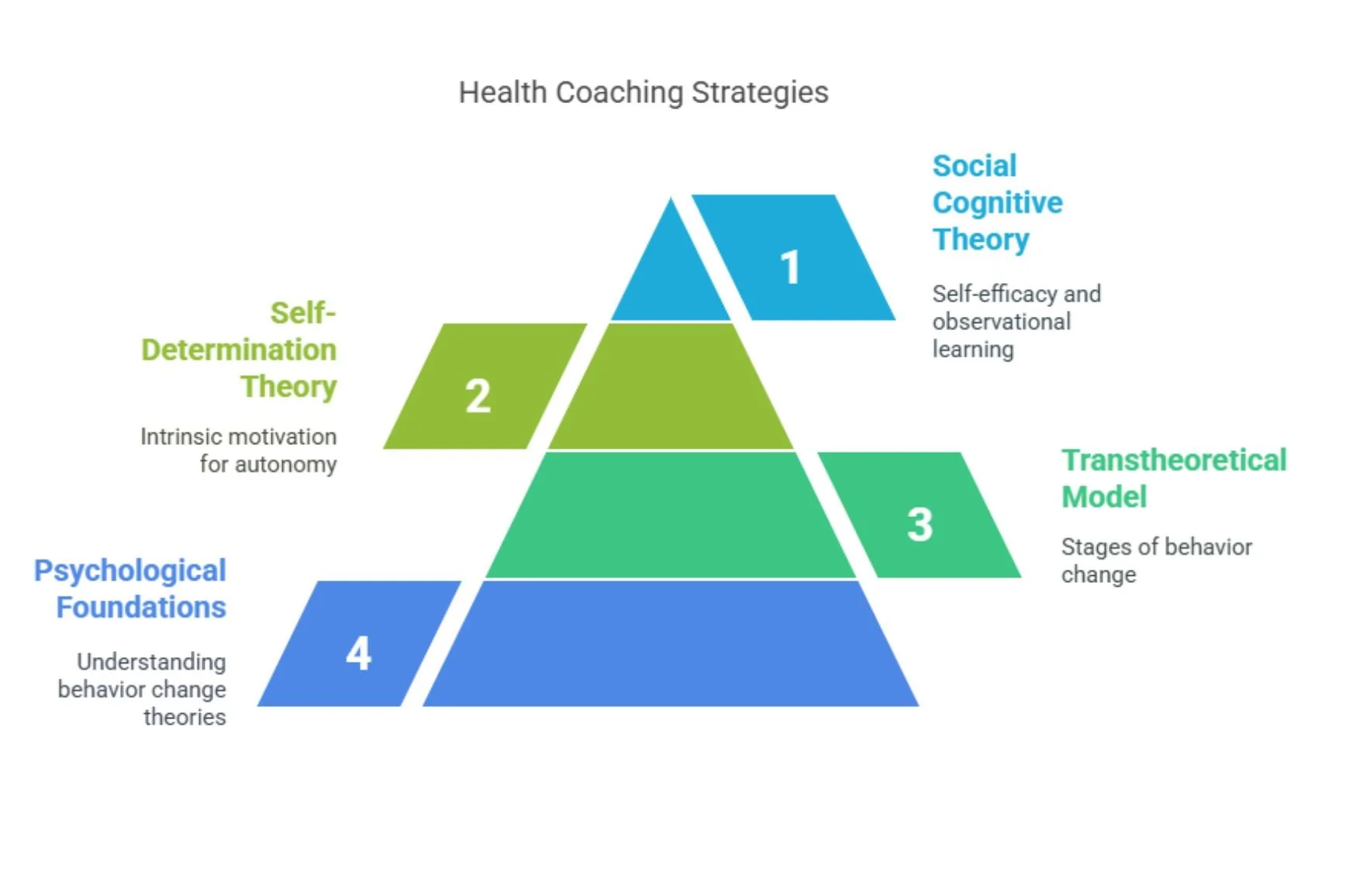 The Science Behind Health Coaching Success — ANHCO