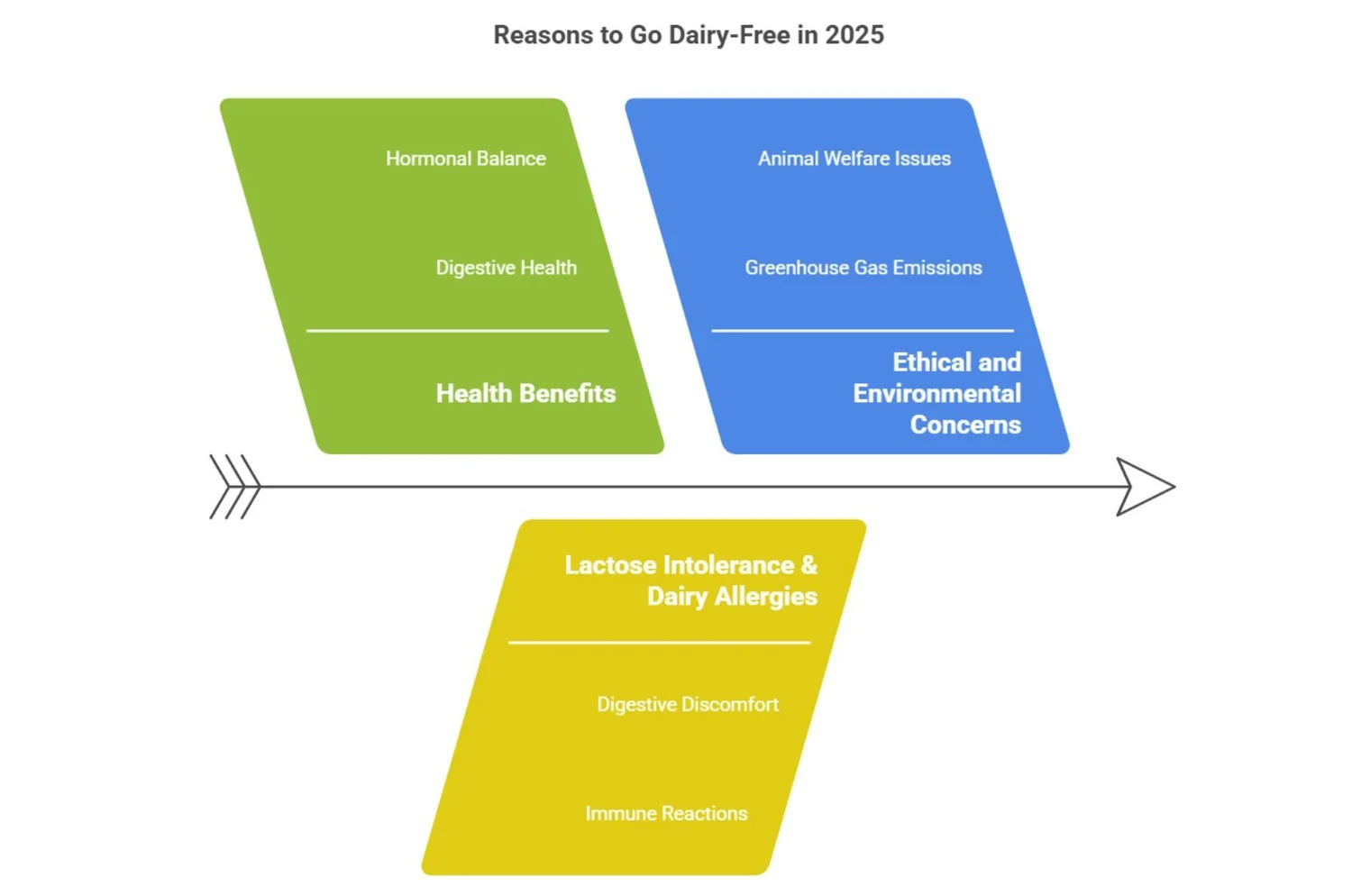 How to Go Dairy-Free: A Simple Guide — ANHCO