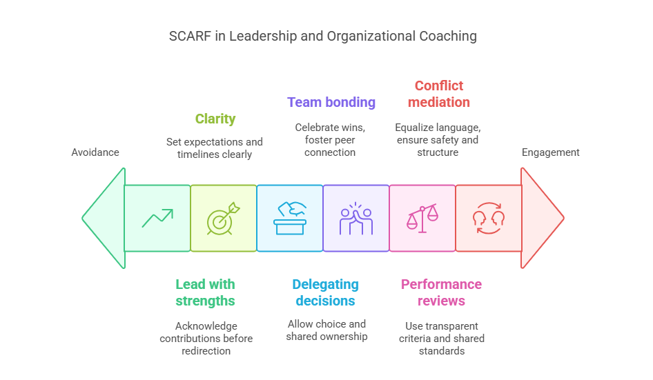 SCARF Model Explained | Brain-Based Coaching Tool — ANHCO