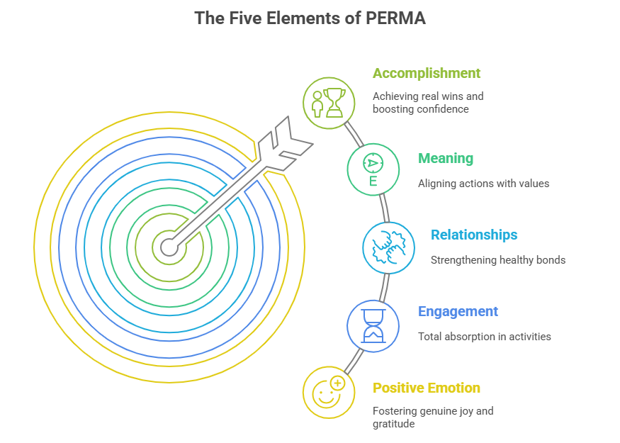PERMA Model in Coaching | Why It Works in 2025 — ANHCO