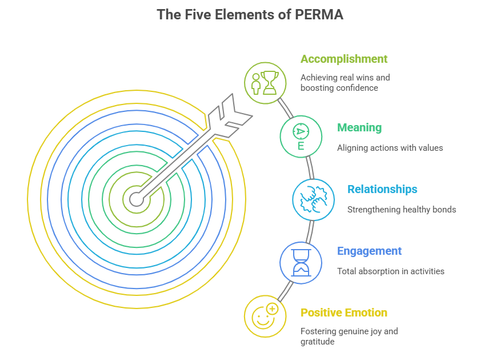 PERMA Model in Coaching | Why It Works in 2025 — ANHCO