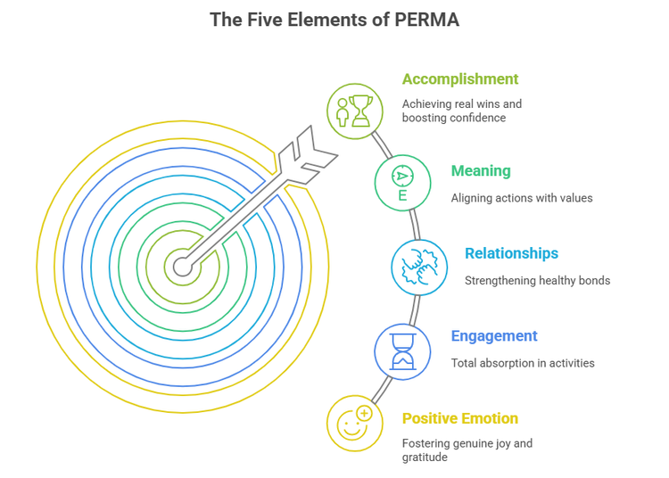 PERMA Model in Coaching | Why It Works in 2025 — ANHCO