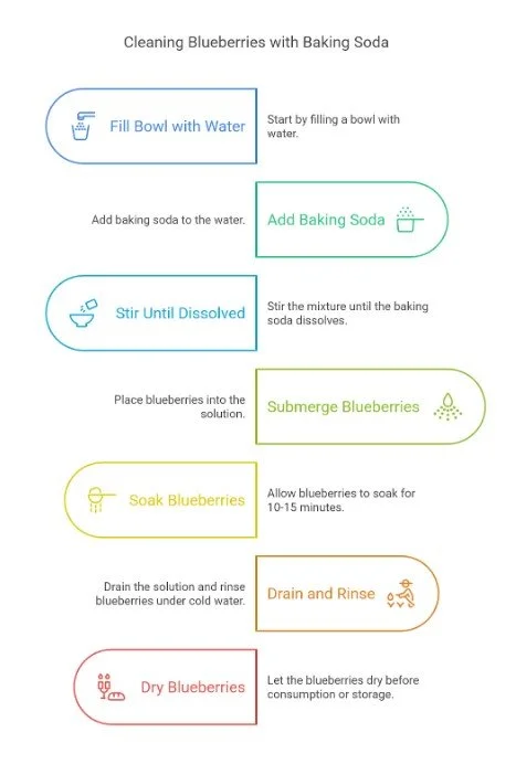 Best Way to Clean Blueberries & Remove Pesticides — ANHCO